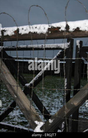Barbed wire fences at Majdanek concentration camp, Poland. On outskirts ...