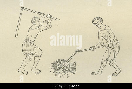 Serfs threshing corn. After illuminations in the Luttrell Psalter- 14th ...