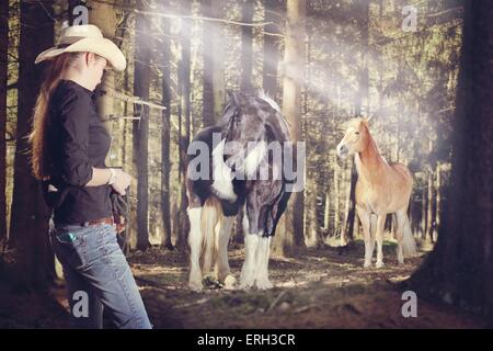 woman and Haflinger Stock Photo - Alamy