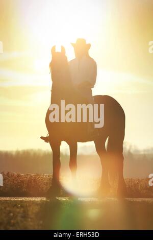 man rides Frisian horse Stock Photo - Alamy