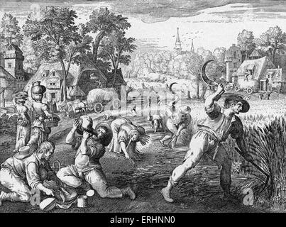17th century illustration of agriculture Stock Photo: 103997875 - Alamy