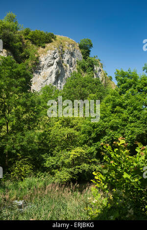 Ravens Tor, Dovedale, Peak District National Park, Derbyshire Stock ...