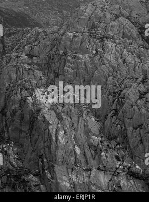 Rock climbers on the Idwal Slabs in Snowdonia National Park, Wales ...