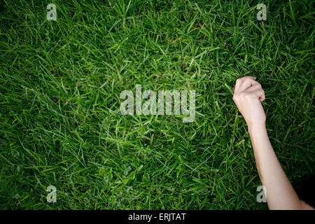 A lady's hand touches green grass Stock Photo - Alamy