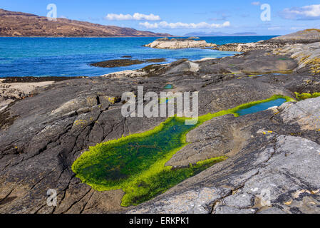 Beach rock pool, Singing sands, Arivegaig, Kentra Bay, Ardnamurchan ...