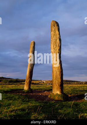Penrhos Feilw prehistoric standing stone pair near Holyhead, Anglesey ...