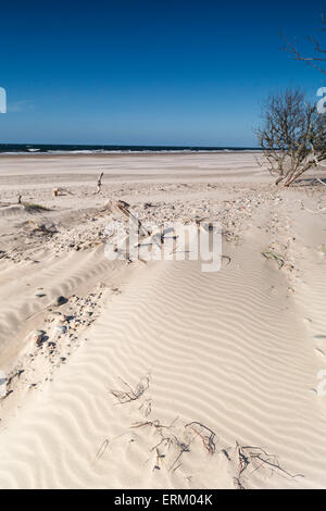 Dunes on the sea shore. Ripples in wet sand background texture. Beach ...
