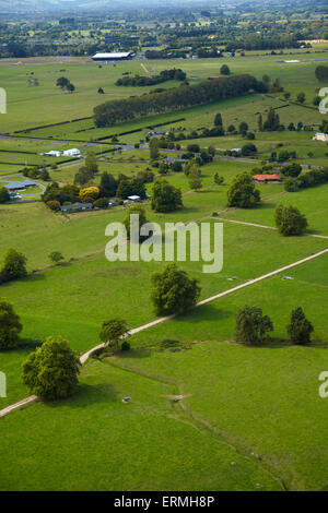 Farm crops, Rukuhia, near Hamilton, Waikato, North Island, New Zealand ...