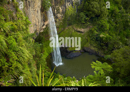 Bridal Veil Falls, Raglan, Waikato, North Island, New Zealand Stock ...
