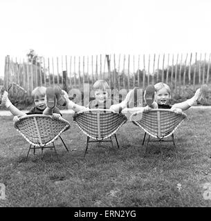 The Hatton triplets from Manchester, Deborah, Sharon and Allison with ...