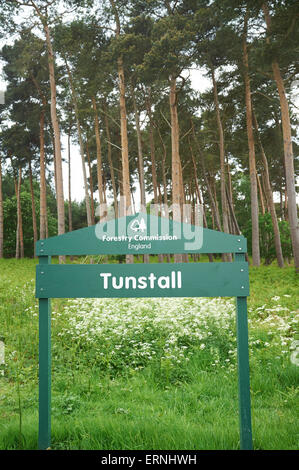 Tunstall forest sign, Suffolk, UK Stock Photo - Alamy