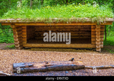 Danish shelters (Shelternet Project), Fineshade Wood, Northants, UK ...