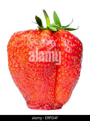 Strawberry white background Stock Photo - Alamy