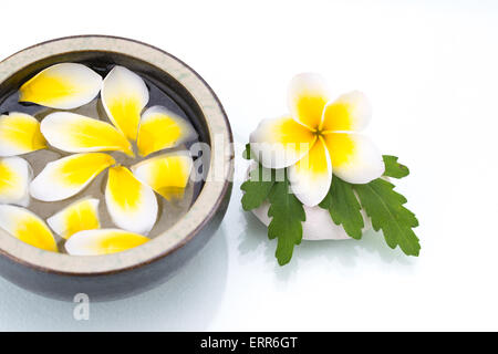 Drop of water on white bowl, Violet, black background Stock Photo - Alamy