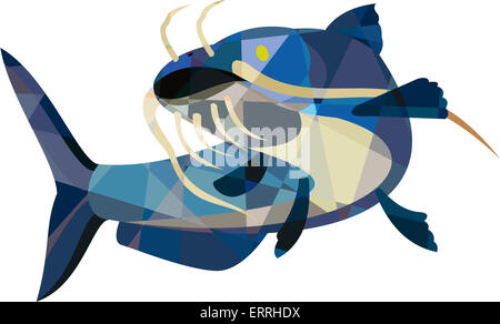 Illustration of a ray-finned fish catfish also known as mud cat ...
