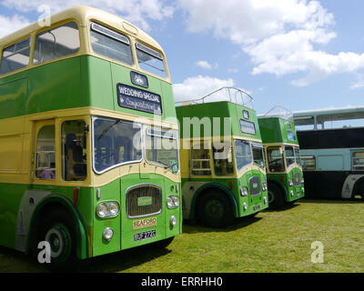 Vintage buses in Southdown livery line up at the Southdown 100 event in ...