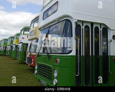 Vintage buses in Southdown livery line up at the Southdown 100 event ...