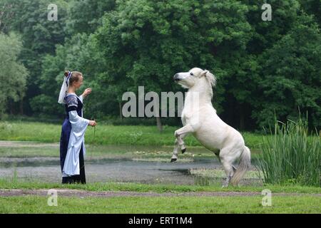rearing up Shetland Pony Stock Photo - Alamy