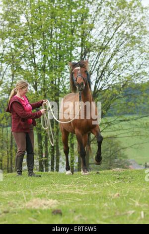 woman and German Riding Pony Stock Photo - Alamy