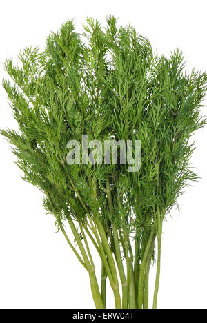 Fresh branches of green dill isolated on white background Stock Photo ...