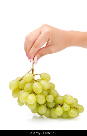 A hand holds a bunch of white grapes on a white background. Copy space ...