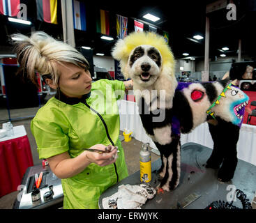 Somerset, New Jersey, USA. 08th June, 2015. CAT OPSON transforms her ...