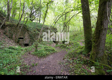Remains of Fort de Souville, Verdun battlefield Stock Photo - Alamy