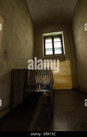 Bed in a small jail cell Stock Photo - Alamy