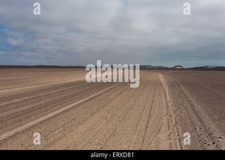 Salt road from Skeleton coast, Namibia Stock Photo - Alamy