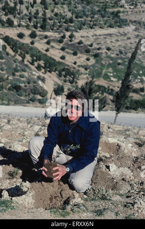 Jewish National Fund tree planting certificate given to a Dutch person ...