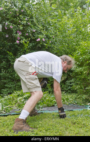 Man doing yard work Stock Photo - Alamy