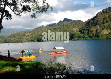 Boating in lake, Munnar, Kerala, India, Asia Stock Photo - Alamy