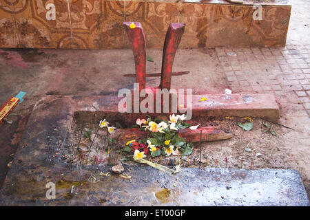 animal sacrifice poles , Kamakhya temple , Kamrup Kamakhya temple ...