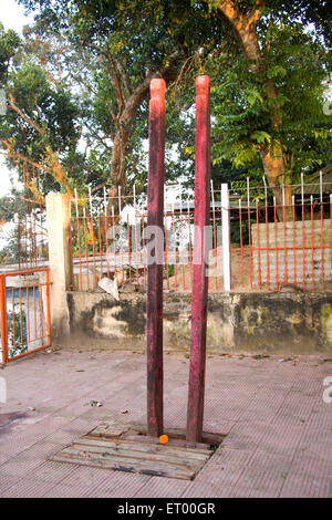 animal sacrifice poles , Kamakhya temple , Kamrup Kamakhya temple ...