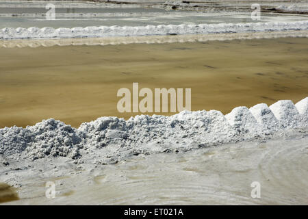 Sea salt, salt pan, Wadala, salt farm, Bombay, Mumbai, Maharashtra ...
