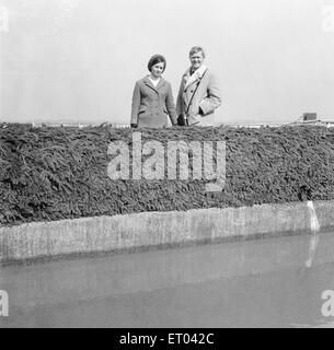 Terry Biddlecombe, National Hunt Jockey, and wife Bridget at Aintree ...