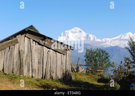 Wooden hut at dhaulagiri tukche poon hill peaks, Ghoripani, Nepal, Asia ...