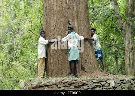 Concept of Chipko movement or Chipko Andolan - Hands hugging tree ...