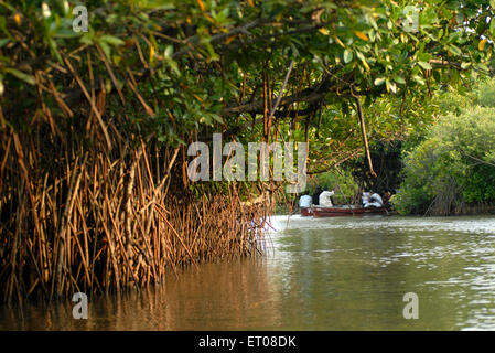 People boating in backwater Pichavaram mangrove forest near Chidambaram ...