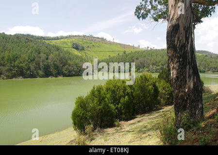 Pykara lake , Pykara , Ooty , Udhagamandalam , Hill Station , Nilgiris ...
