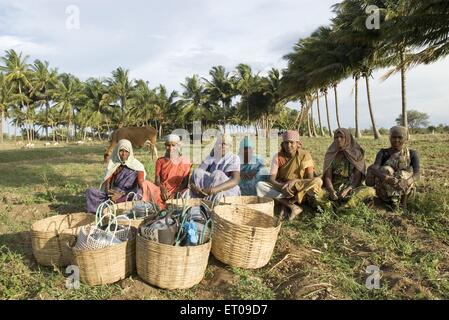 Agriculture labourer ; Tamil Nadu ; India NO MR Stock Photo - Alamy