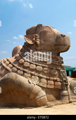 Biggest monolithic Nandi sculpture in Lepakshi ; Andhra Pradesh ; India ...