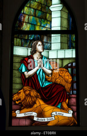 Stained glass : Daniel in the Lions' den Stock Photo - Alamy