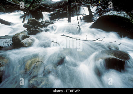 Moyar river falls, Singara, Masinagudi, Ooty, hill station, Ootacamund ...