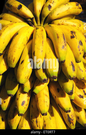 Ripe yellow bananas fruits, bunch of ripe bananas with dark spots on a ...