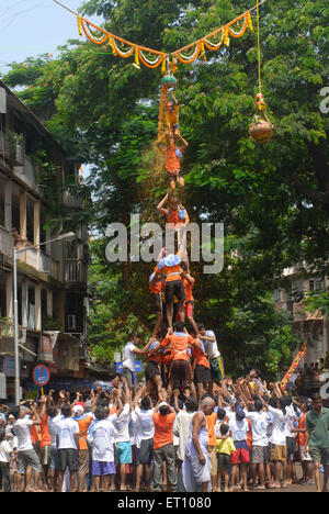 Govinda Dahi Handi ; human pyramid in process of breaking dahi handi ...