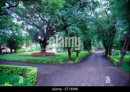 Garden path trees Nasik Nashik Maharashtra India Asia Stock Photo - Alamy