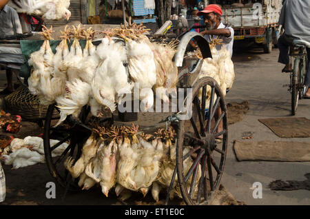 chickens hanging hand rickshaw Kolkata West Bengal India Asia Stock ...