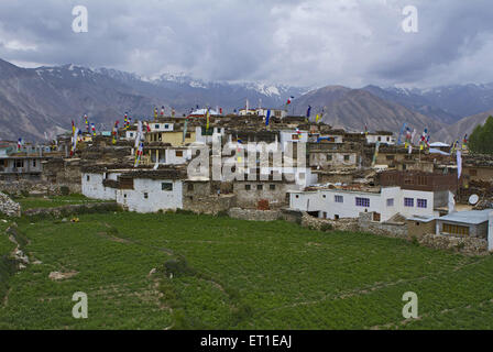 Nako village himachal pradesh India Stock Photo - Alamy
