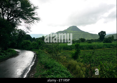 Pandavgad fort mountain green fields wai satara Maharashtra India Asia ...